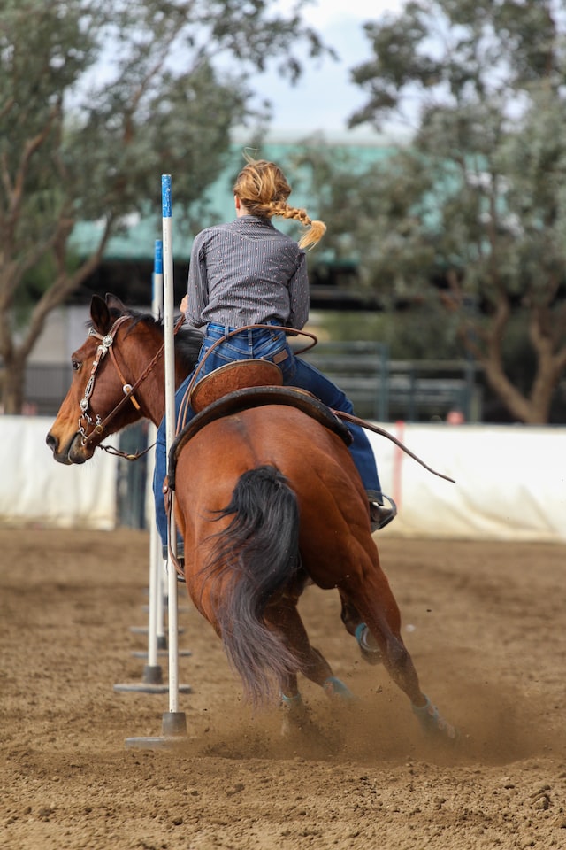 How to Start Riding a Horse? - Niche Racing