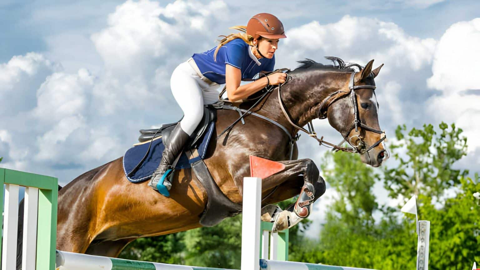 Women in Horse Racing: Breaking Barriers and Shaping the Sport - Niche ...