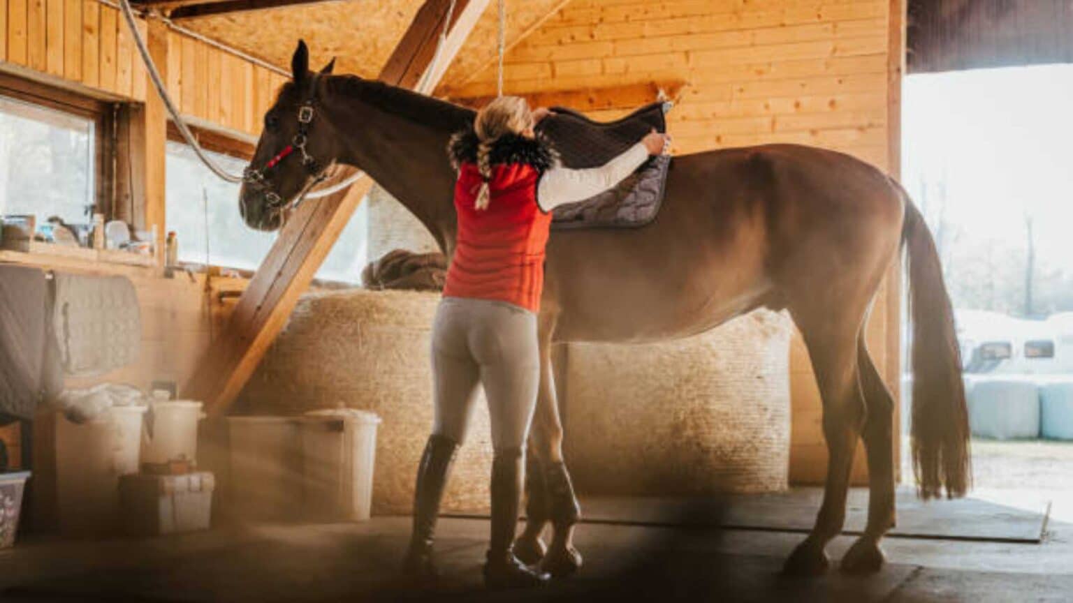 Horse Dressing and Preparation Before the Race? - Niche Racing