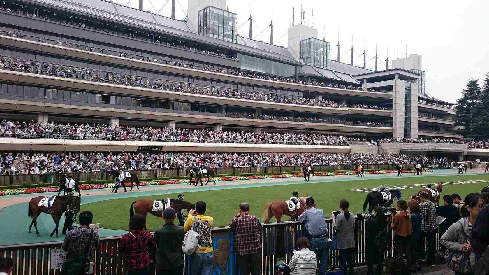 Top 10 Horse Racing Tracks Around the World - Niche Racing